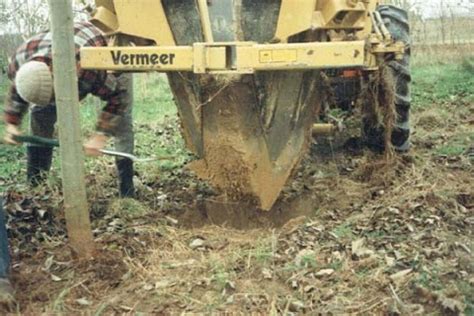 Tree Spade Sequence 1989