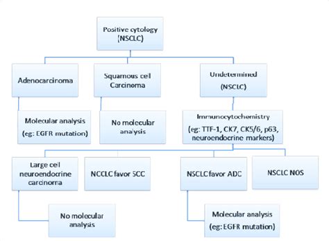 Algorithm For The Cytological Diagnosis Of Non Small Cell Lung