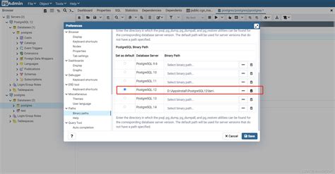 Please Configure The Postgressql Binary Pathpostgres数据库备份错误postgresql