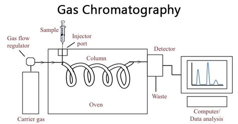 Chromatography Introduction Principle Classification And Applications