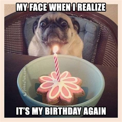 101 Its My Birthday Memes To Share Your Birthday Month Excitement