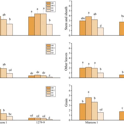 Effect Of Bamboo Biochar On Cadmium Accumulation In Different Wheat Download Scientific Diagram