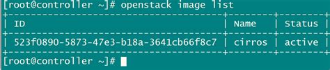 Openstack Mitaka安装部署openstack Mitaka Csdn博客
