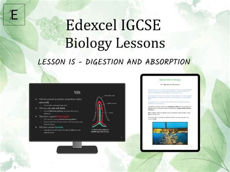 Edexcel Igcse Biology Lesson 15 Digestion And Absorption Teaching