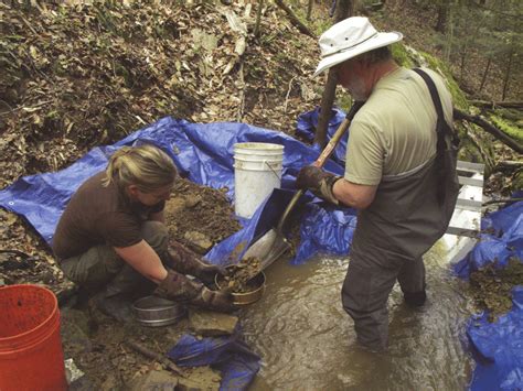 31 Cleaning And Sieving Sediment From Settling Pool Download Scientific Diagram