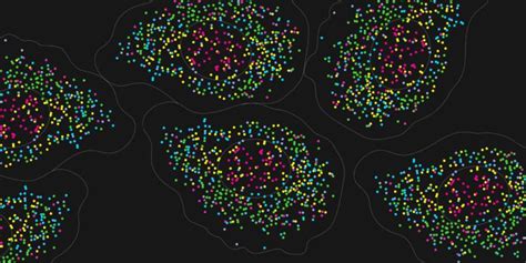 Stephen Kilmer On Linkedin Vizgen Championing The Power Of Spatial Genomics With Unprecedented…