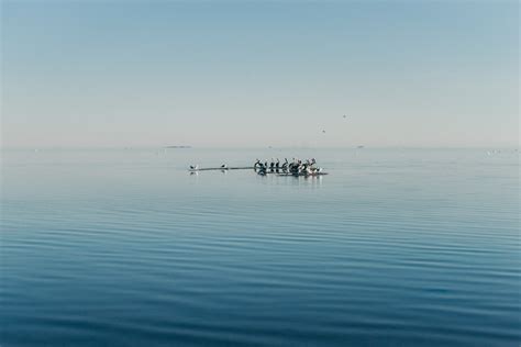 무료 이미지 바다 연안 물 대양 수평선 보트 육지 웨이브 호수 반사 차량 만 갯벌 5968x3979 159442 무료 이미지 Pxhere