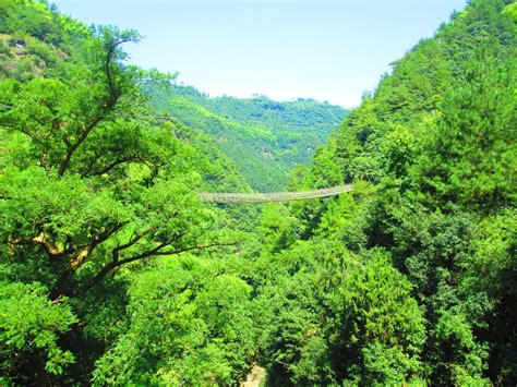 山重水复疑无路柳暗花明又一村图册360百科