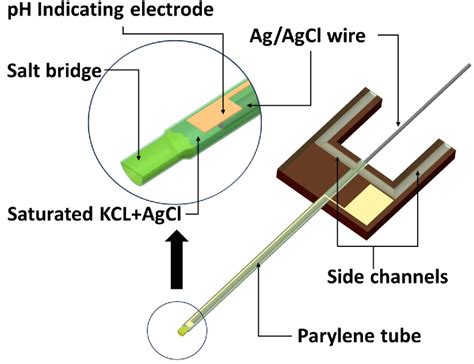 Figure 1 From A Flexible Ag Agcl Micro Reference Electrode Based On A