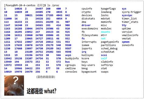 【看表情包学linux】进程的概念 进程控制块 pcb 父进程与子进程 进程 id task struct