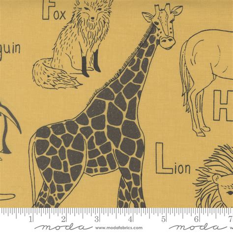 Abc Xyz Yellow 752106679108