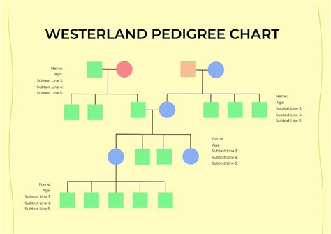 4 Generation Pedigree Chart Cultural Artifact 4 Generation Pedigree
