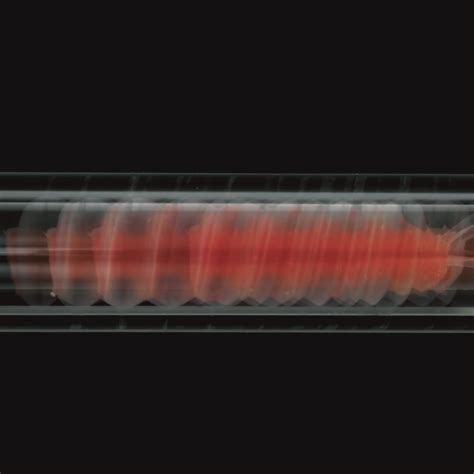 Ieee Robosoft 2023 Sdu Soft Robotics