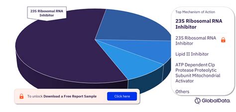Vancomycin Resistant Enterococcus Faecium Infections Pipeline Drugs Market By Stages Target