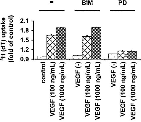 Mek 1 Dependency Of Vegf Induced Proliferation Mm 1s Cells Were Download Scientific Diagram