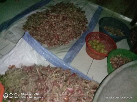 Agus Kurniawan Posted On Linkedin