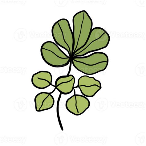 Cute Leaf Plant 26472012 Png