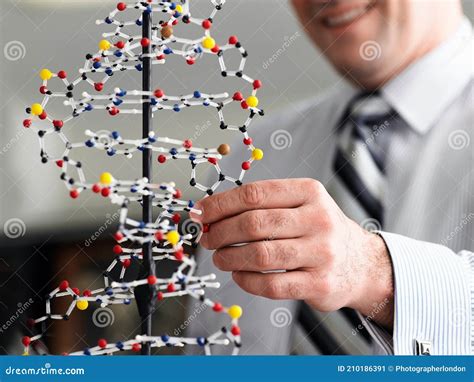 Teacher Examining DNA Model In Science Class Stock Image Image Of Classroom Education 210186391