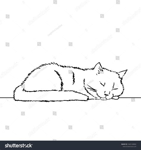 Cat Lying Down Drawing