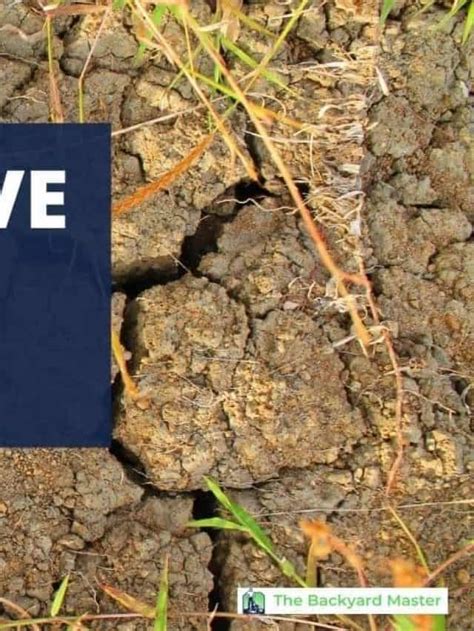 How To Improve Clay Soil For Lawns Story The Backyard Master