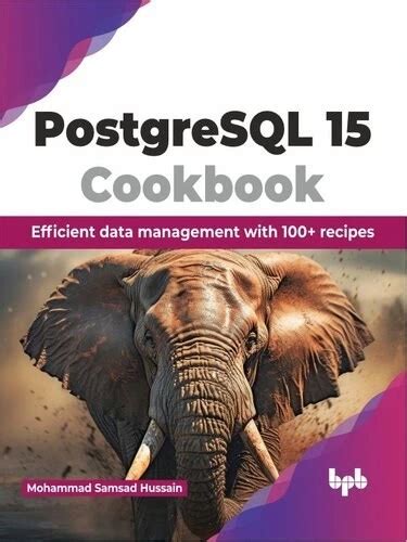 خرید و قیمت دانلود کتاب انگلیسی کتاب آشپزی postgresql 15 مدیریت کارآمد