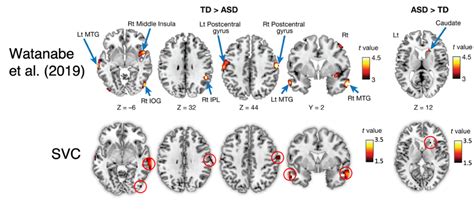 Pdf The Reproducibility Of Intrinsic Neural Timescale Atypicality In