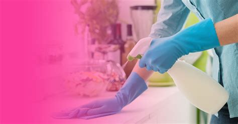 Cómo Eliminar Los Pececillos De Plata O Los Bichos De La Humedad