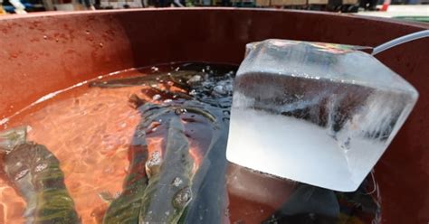 뜨거운 물과 차가운 물 어느 쪽이 더 빨리 얼까