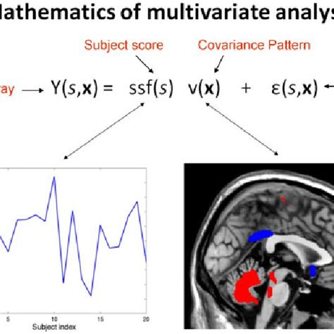 This Simple Figure Describes The Difference Between Univariate And Download Scientific Diagram
