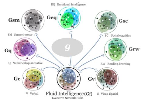 The Fluid Intelligence Challenge Specific Training Settings To Augment Iq I3 Mindware Iq App