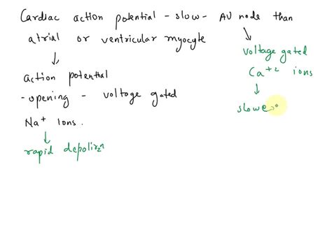 Solved 3 Hyperkalemia Is An Important Cause Of A Wide Qrs Complex