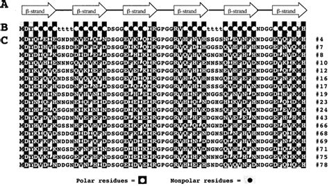 A Schematic Illustration Of The Design Of A Combinatorial Library Of