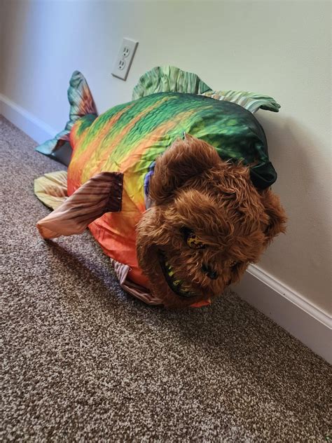 Working On Spongebob Sea Bear Attack Sea Bear Cosplay R Cosplayprops