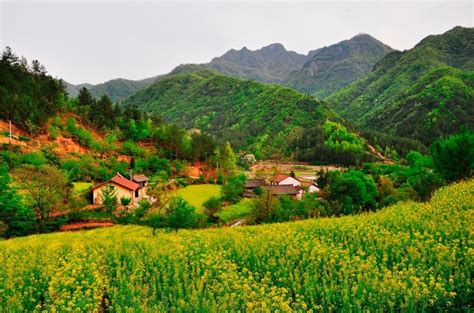 留坝凉快的地方 留坝县哪个景区最凉快 汉中夏天最凉快的地方 第5页 大山谷图库