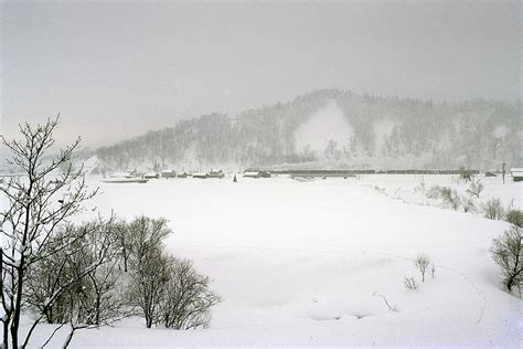 水墨画にあこがれてた留萌本線 くろくまと蒸機たち