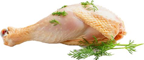 Raw Chicken Drumstick With Herbs 45877760 Png