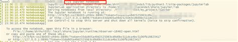 远程连接linux服务器上的jupyternotebooklinux远程jupyter上不去 Csdn博客