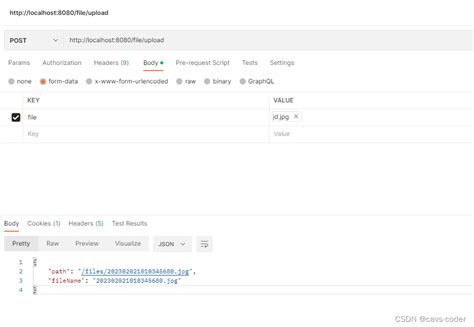 Java实现文件上传到服务器本地，并通过url访问java文件上传 后怎么访问 Csdn博客