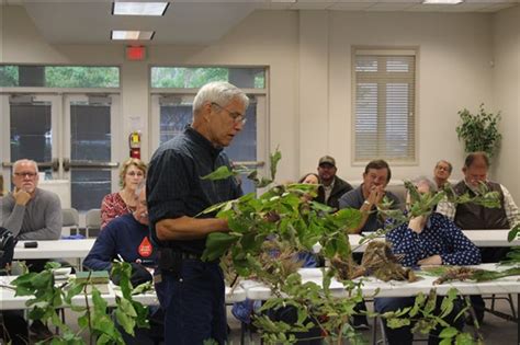 The City Of Valdosta Tree Commission Hosts Lunch And Learn Tree ID For Beginners City Of