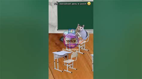 Ріл звичайний день в школі 😁 рекомендации Cat мемы Memes меми рекомендації Mem Funny