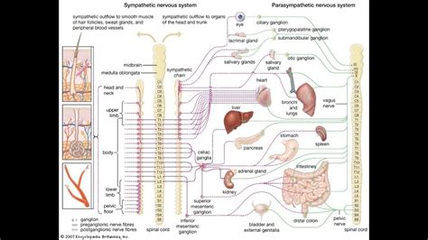 Chapter 14 Part 2 Youtube Chapter 14 Part 2 Youtube