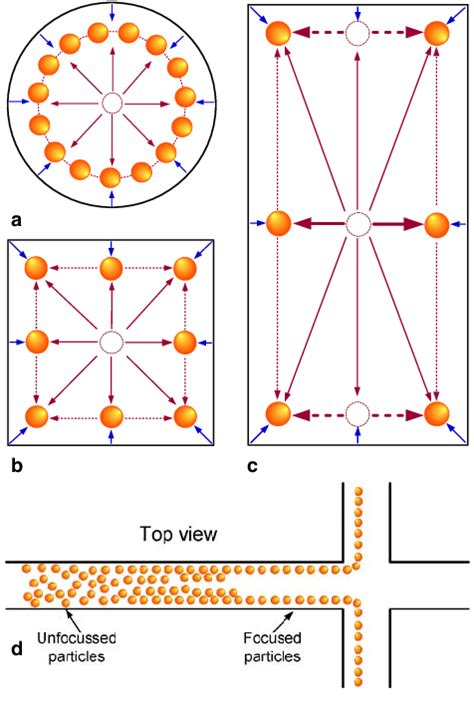Inertial Migration Of Particles In A Circular B Square And C Download Scientific Diagram