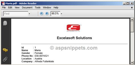 Generate Invoice Bill Pdf With Logo Using Angularjs In Aspnet Mvc