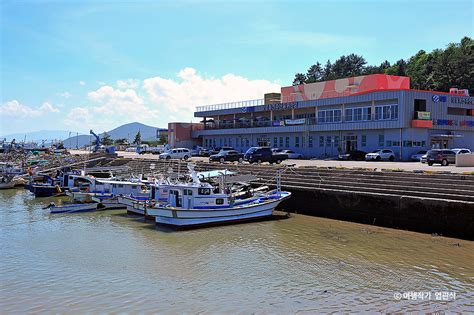 율포해수욕장솔밭해변
