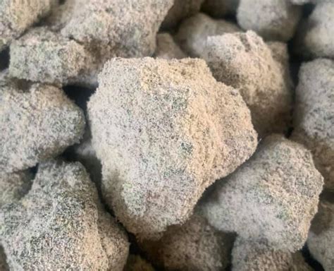 Sun Rocks Vs Moon Rocks Whats The Difference How High Does Sunrock Get