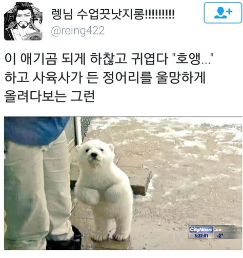 웃긴 트위터 아무말대잔치 모음  인스티즈 Instiz 이슈 카테고리