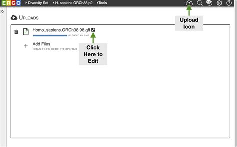 New Ergo Feature Gff Visualization — Igenbio