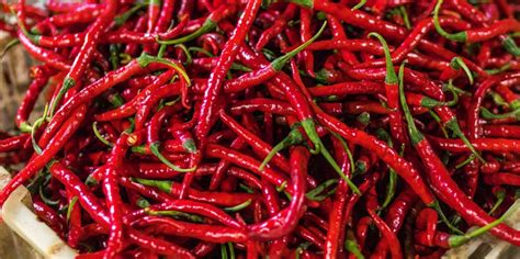 කෝටි 2800ක උග්‍ර විෂ මිරිස් ගෙන්නලා