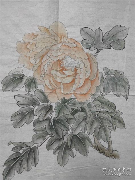 图中国水墨工笔花鸟画首创者 文化部国韵文华书画院特聘画师 中国美术家协会会员 吴东奋花卉44cm 34cm 设色纸本未裱 拍品信息