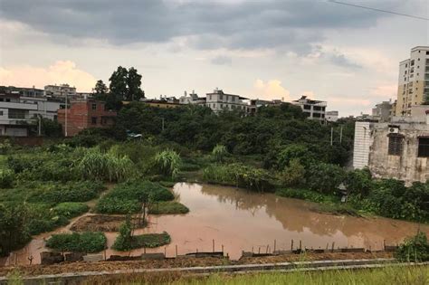 兴宁市合水镇 水库 机场 大山谷图库
